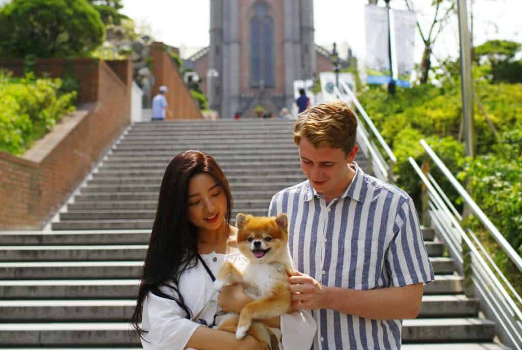 Viajar con perro a Corea del Sur: requisitos de entrada y regreso a ...
